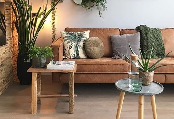 Convierte tu hogar en un lugar cómodo y acogedor de manera económica ...